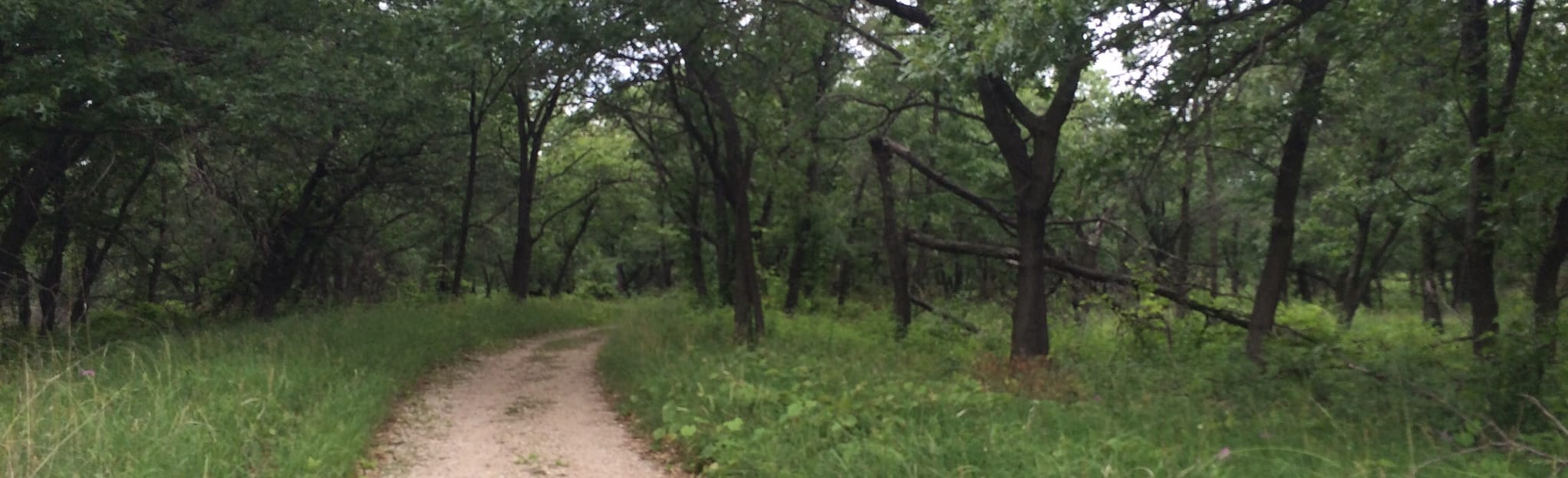 Oak Ridge and Dune Trail Loop, Illinois - 18 Reviews, Map | AllTrails