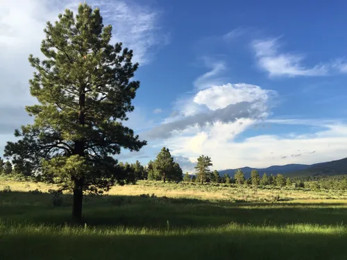 10 Best Trails and Hikes in Angel Fire | AllTrails