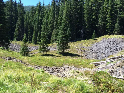 10 Best Lake Trails in Enumclaw | AllTrails