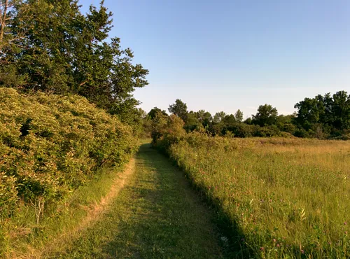 10 Best Trails and Hikes in Kingston | AllTrails