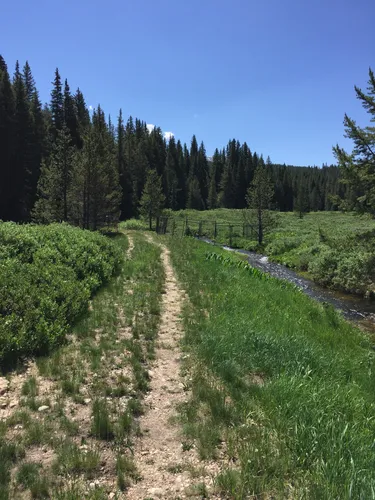 2023 Best 10 Long Trails in Meredith | AllTrails