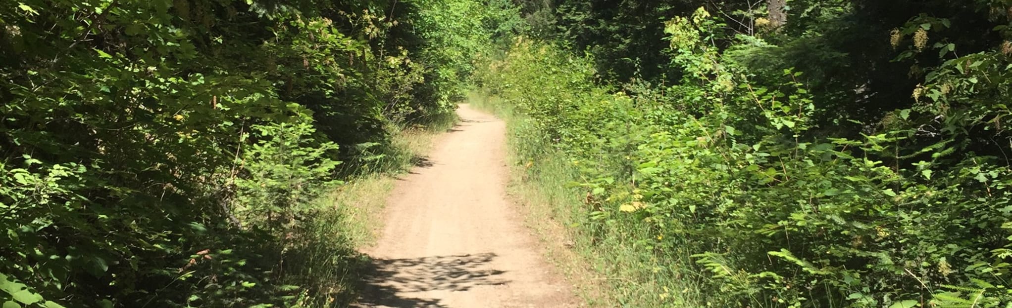 Canfield Mountain Trail 3, Trail A, and Cave Loop: 136 Reviews, Map ...