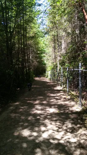 10 Best Trails and Hikes in Gig Harbor | AllTrails