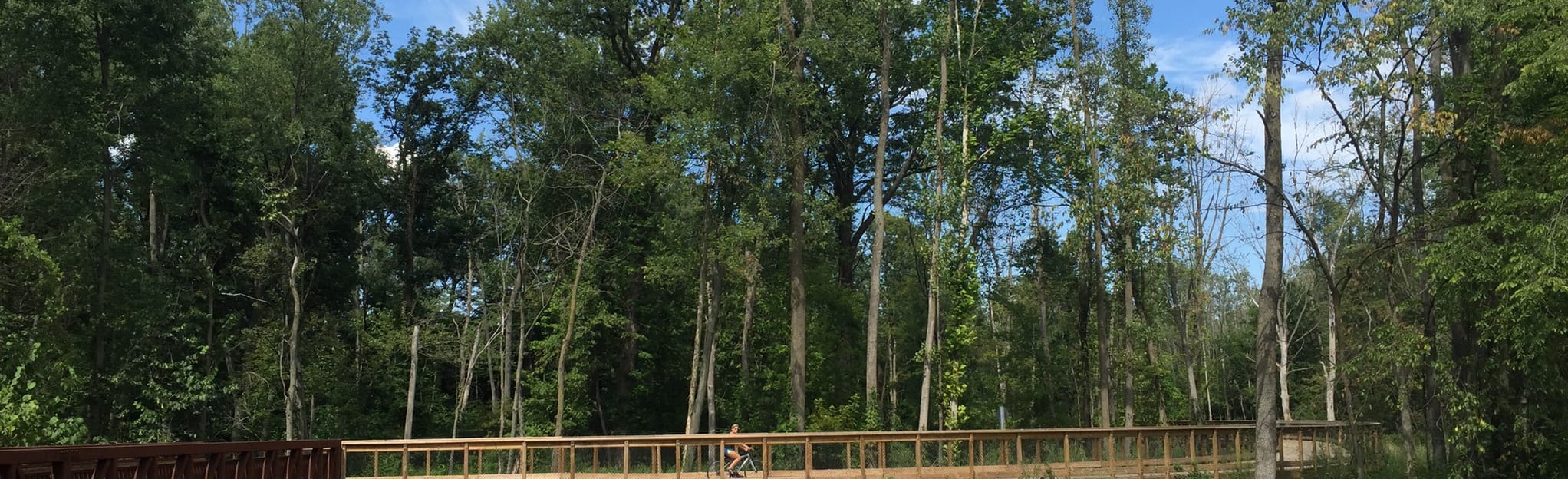 Sycamore Creek Trail: 127 Reviews, Map - Michigan | AllTrails