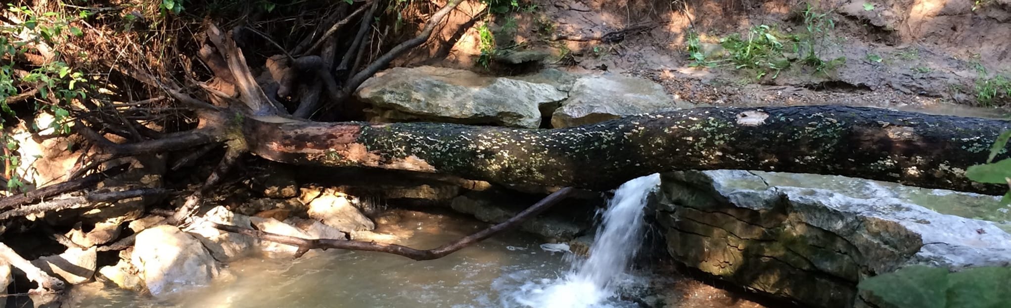 Red Bud Trail, Missouri - 78 Reviews, Map | AllTrails