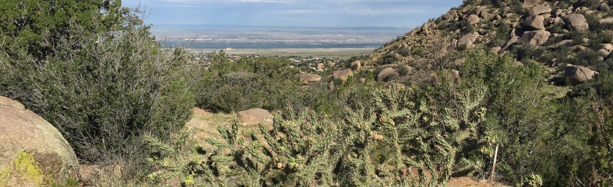 Domingo Baca and La Luz Loop: 16 Reviews, Map - New Mexico | AllTrails