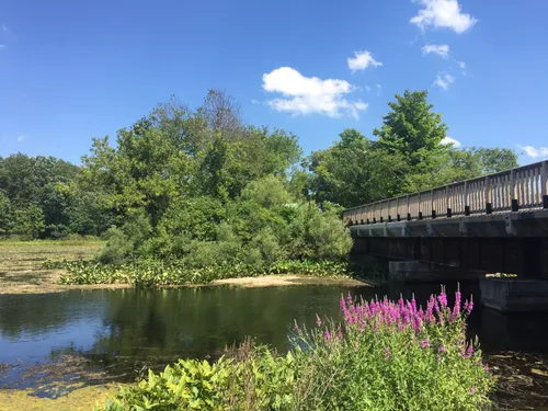 Best Hikes and Trails in Jackson | AllTrails