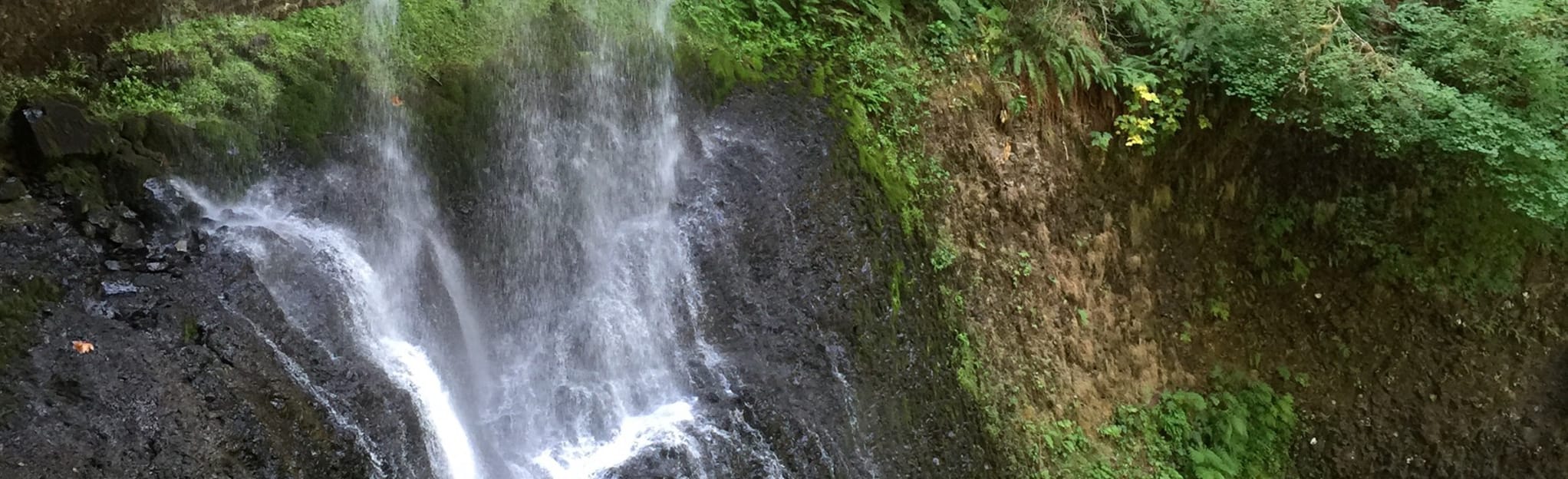 South Falls and Maple Ridge Loop, Oregon - 1,830 Reviews, Map | AllTrails