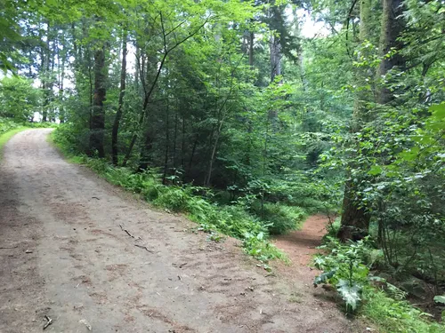 10 Best Trails and Hikes in Hanover | AllTrails