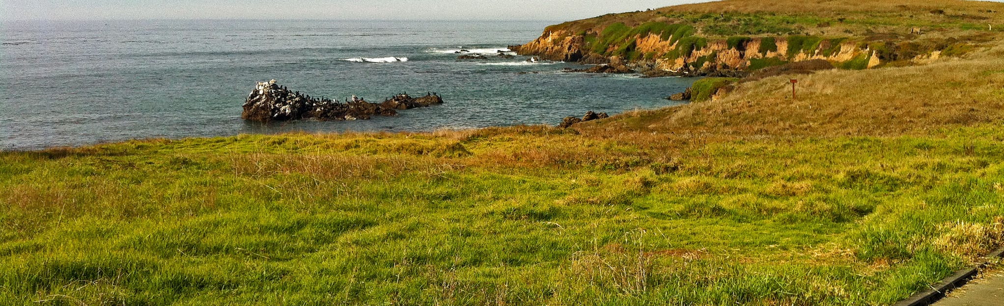 AllTrails | Bluff, Seaclift, Dolphin and Ridge Trail: 217 Reviews, Map ...