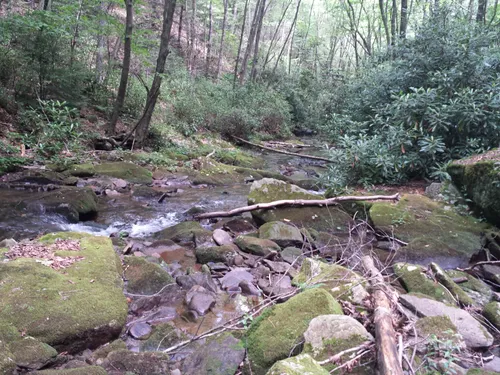 10 Best Hikes and Trails in Sproul State Forest | AllTrails