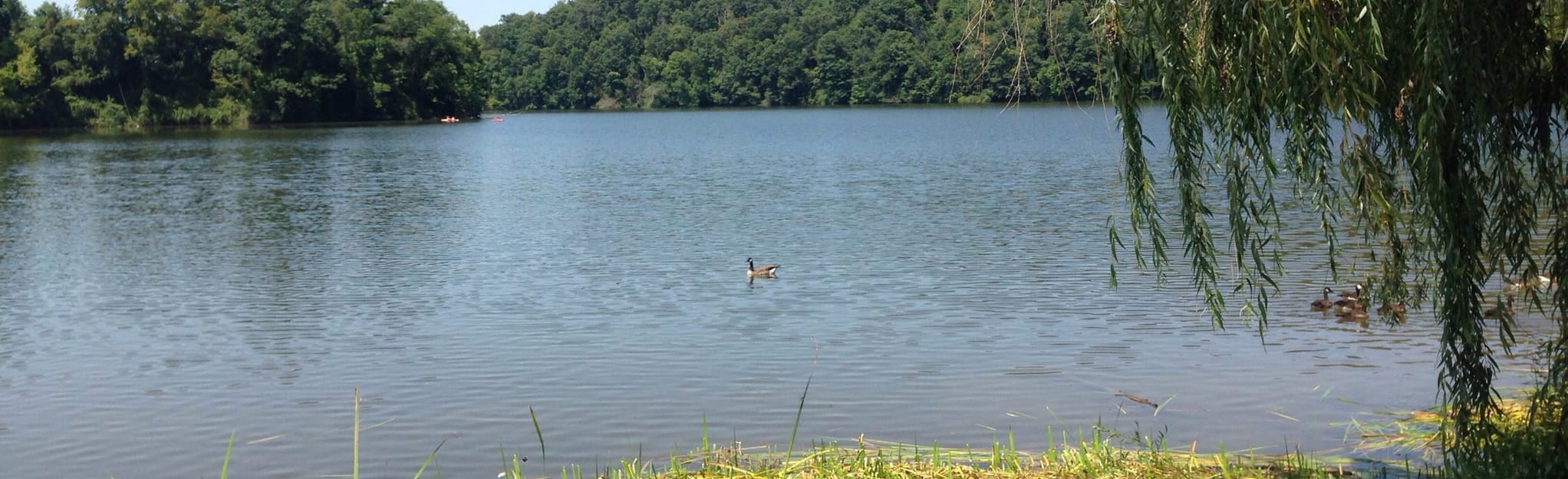 Lake Williams and Lake Redman, Pennsylvania - 171 Reviews, Map | AllTrails