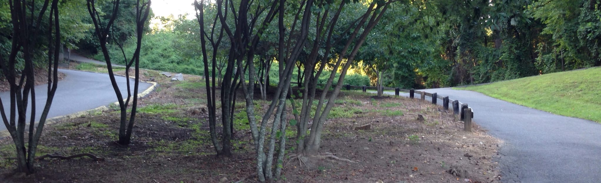 Four Mile Run Trail, Virginia - 338 Reviews, Map | AllTrails