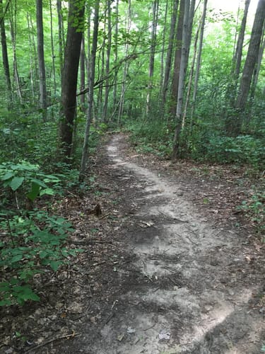 Best Hikes and Trails in Holly State Recreation Area | AllTrails