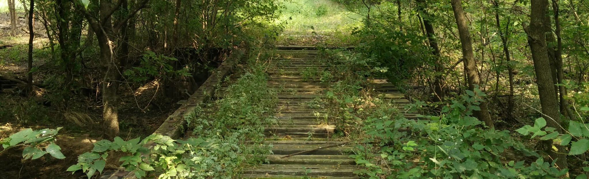 Ruby Jack Trail: 105 fotos - Misuri | AllTrails