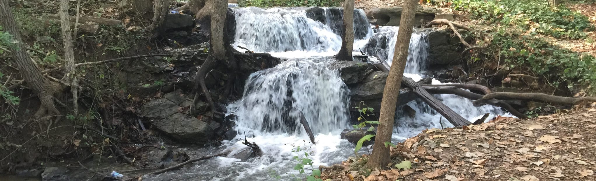 White Tail and Old Kate Loop, Missouri - 1,892 Reviews, Map | AllTrails