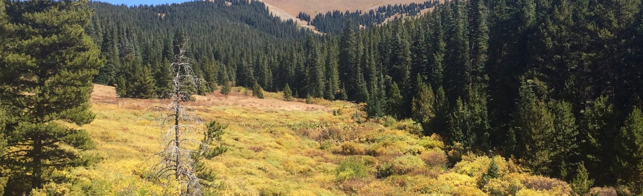 Vance's Cabin: 122 Reviews, Map - Colorado | AllTrails