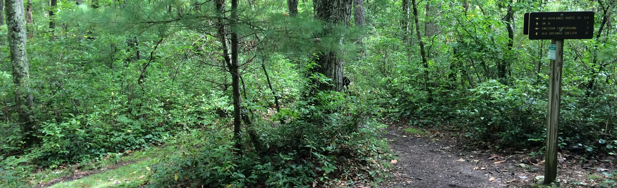 Trimpi Shelter via Appalachian Trail: 84 foto - Virginia | AllTrails