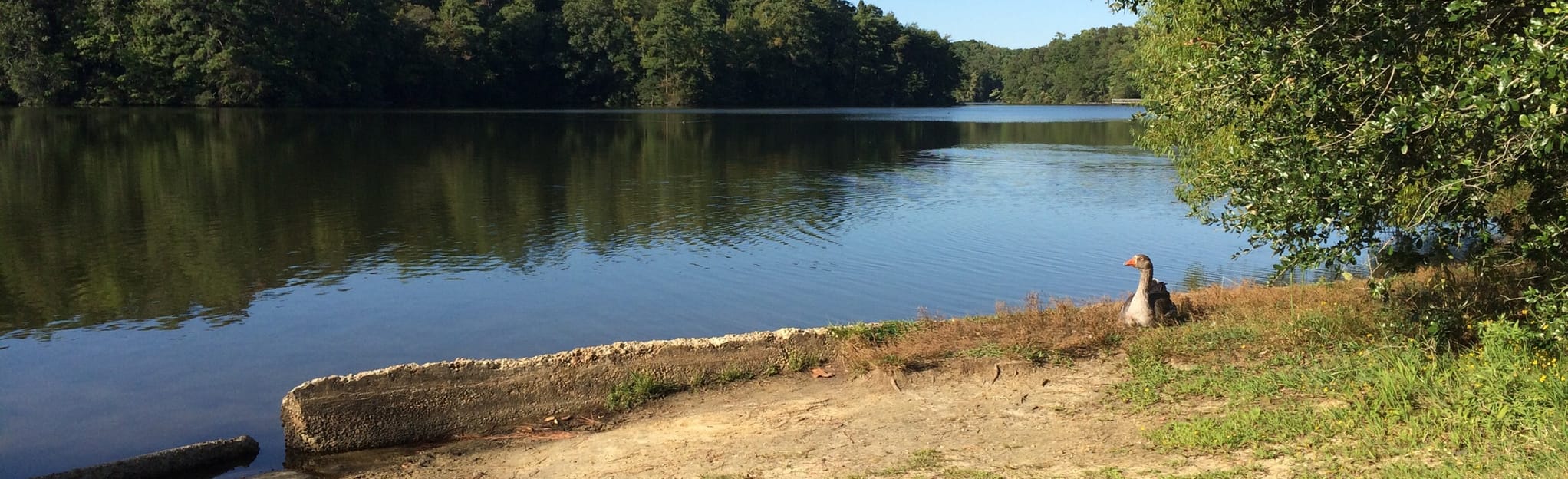 Noland Trail | Map, Guide - Virginia | AllTrails