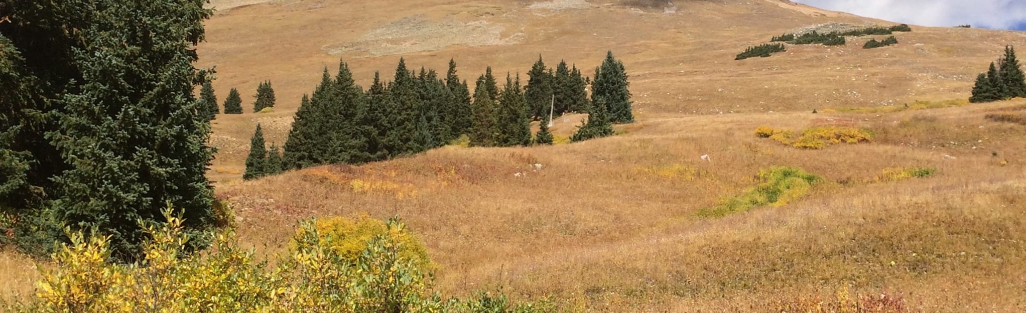 Black Powder Pass Summit, Colorado - 735 Reviews, Map | AllTrails