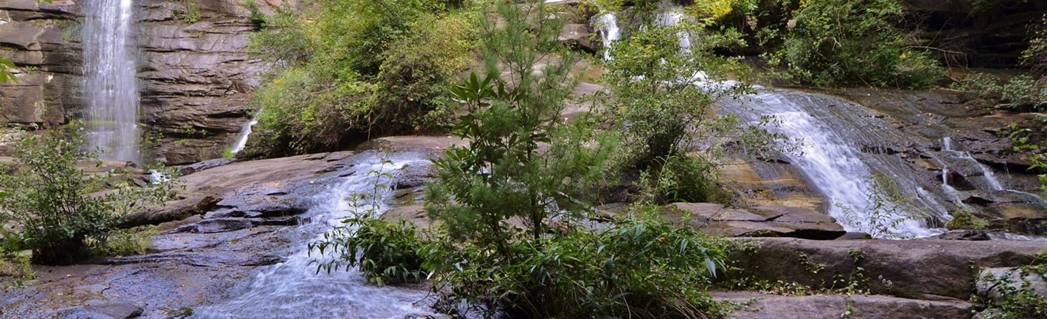 Twin Falls Trail on Reedy Cove Creek, South Carolina - 409 Reviews, Map ...