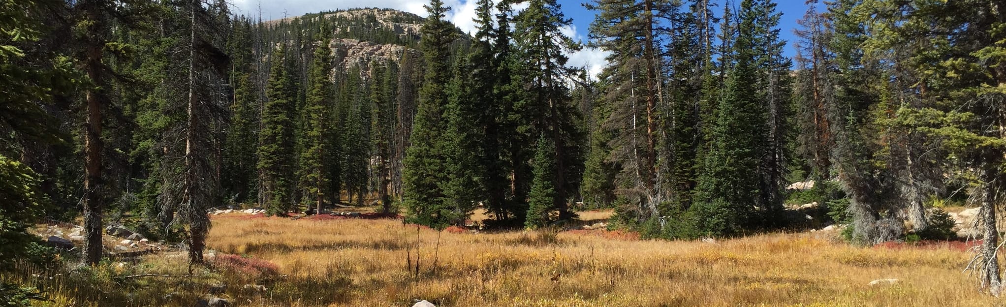 Ruth Lake Rock Climbing: 12 Reviews, Map - Utah | AllTrails