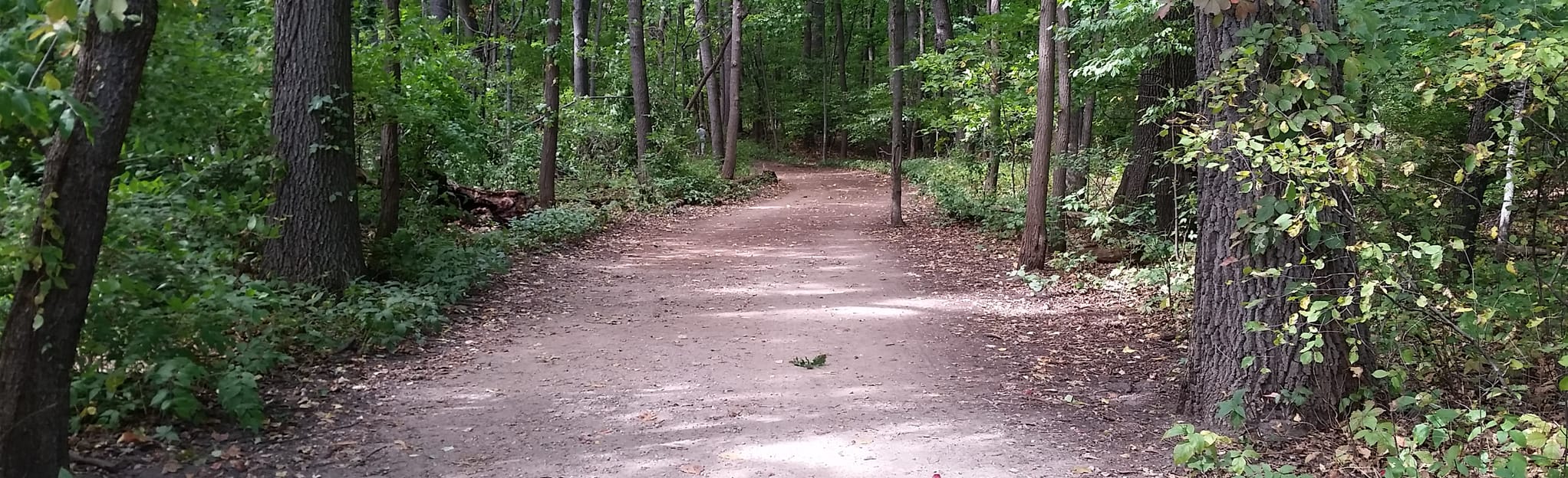 Upland Woods, Prairie, Floodplain, and Ridge Loop Trail, Ohio - 130 ...