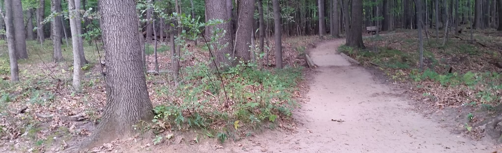 University Park Bike Trail, Ohio - 209 Reviews, Map | AllTrails