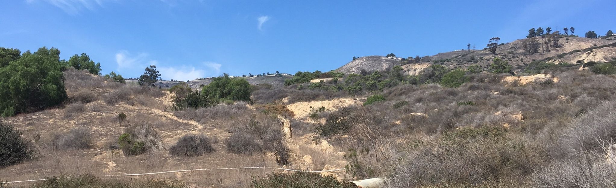 Vanderlip, Ishibashi Farm, Burma Road Loop - California | AllTrails