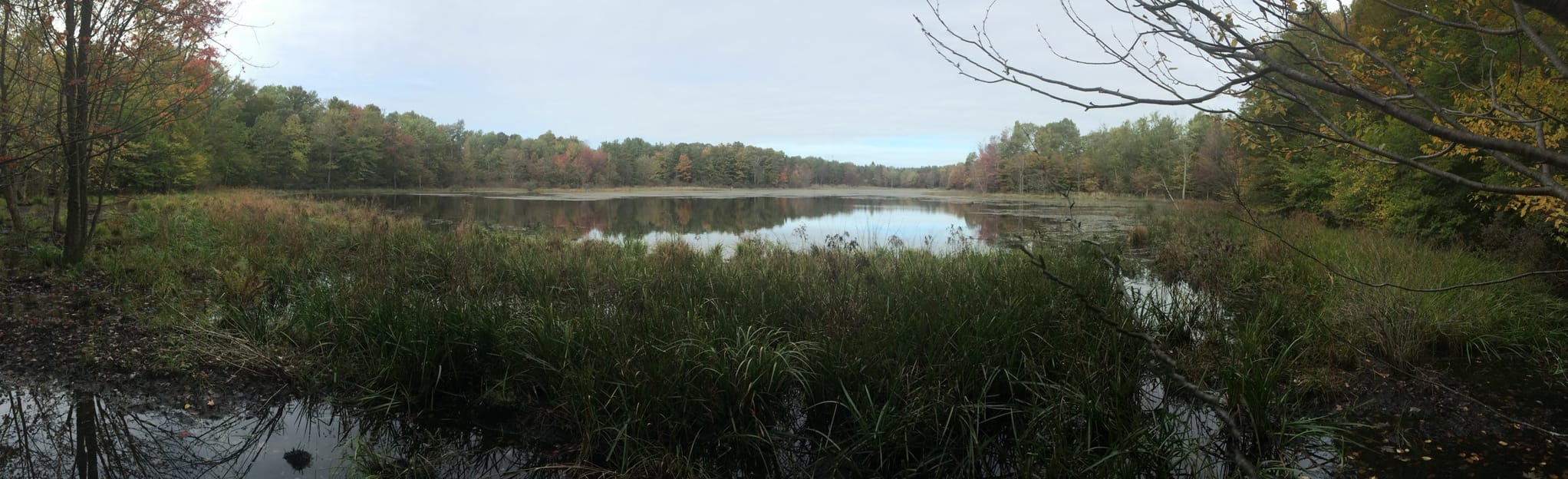 Frozen Ocean State Forest Trail | Map, Guide - New York | AllTrails