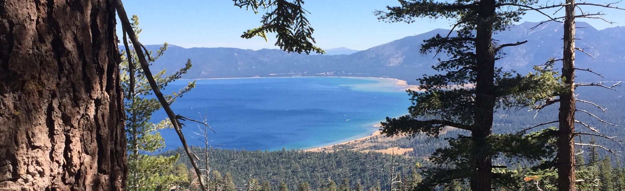 Bayview Trail to Velma Lakes: 328 Reviews, Map - California | AllTrails