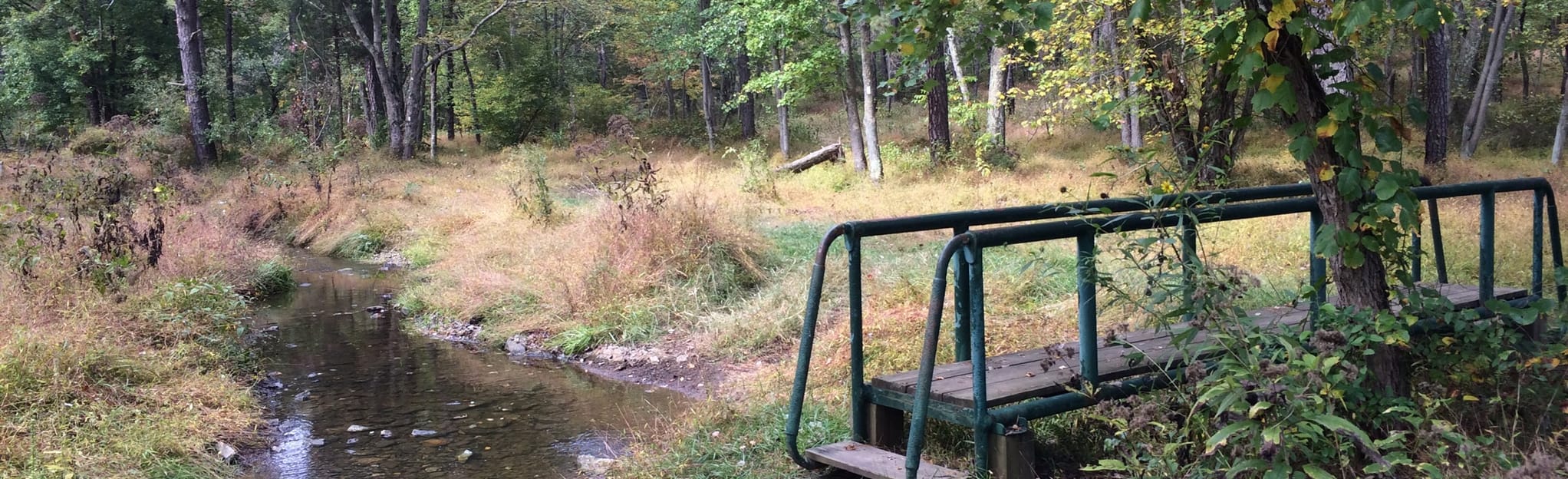 Buck Trail, Pennsylvania - 320 Reviews, Map | AllTrails