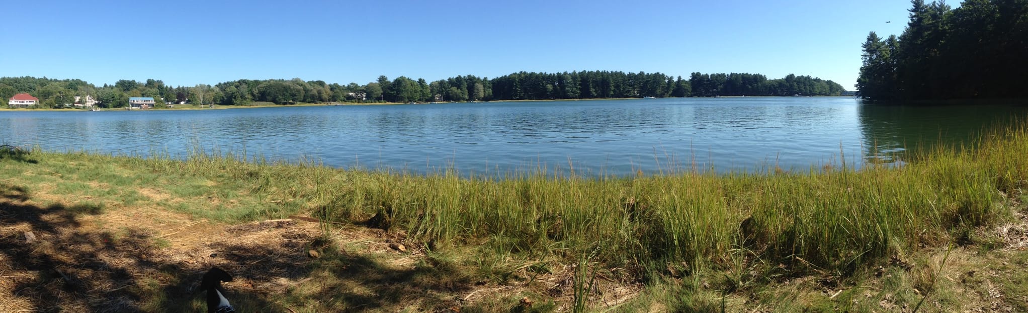 Clement's Point Trail: 107 Reviews, Map - New Hampshire | AllTrails