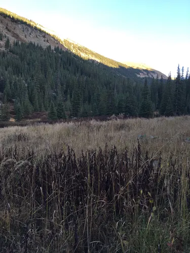 2023 Best 10 Long Trails in Meredith | AllTrails