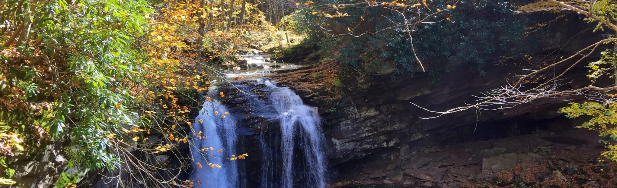 Seneca Creek Trail: 269 Reviews, Map - West Virginia | AllTrails