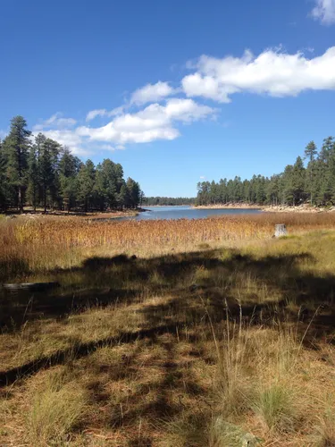 10 Best Trails and Hikes in Forest Lakes | AllTrails