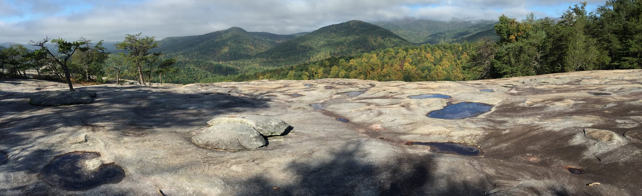 Wolf Rock Trail: 227 Reviews, Map - North Carolina | AllTrails