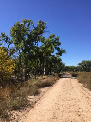 10 Best Hikes and Trails in Rio Grande Bosque | AllTrails