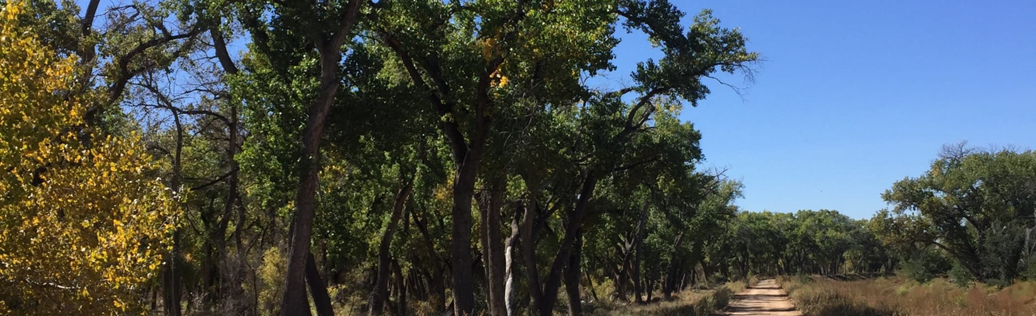 Canopy Trail Loop, New Mexico - 174 Reviews, Map | AllTrails