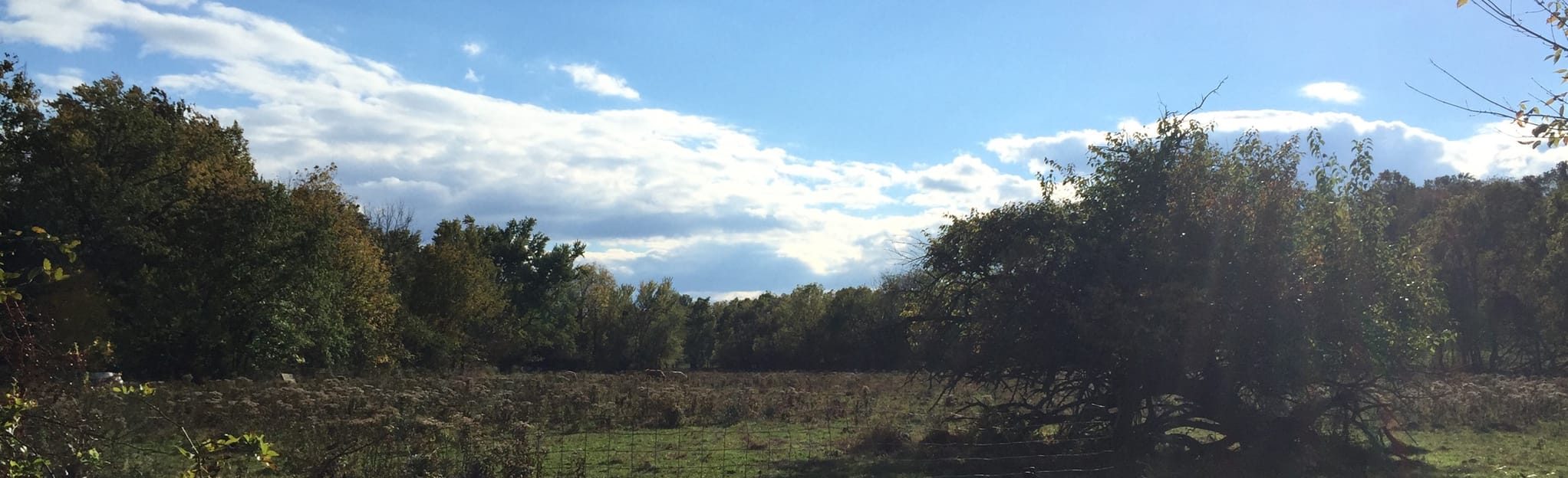 Ballenger Creek Park Trail, Maryland - 123 Reviews, Map | AllTrails