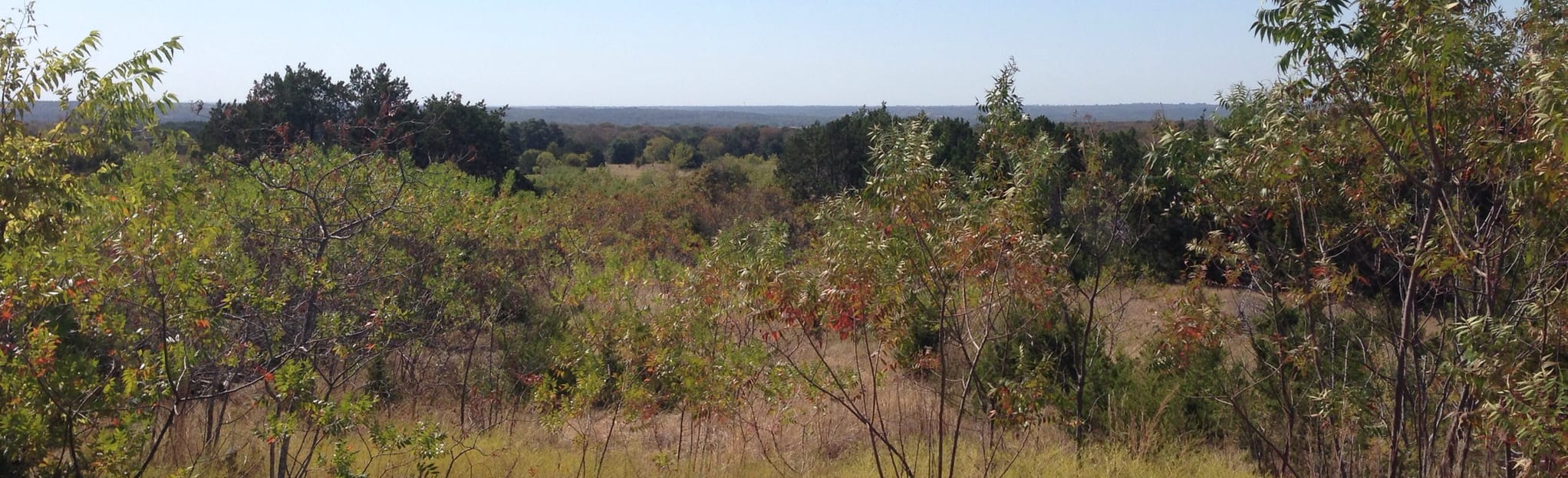 Prairie Loop Trail, Texas - 179 Reviews, Map | AllTrails