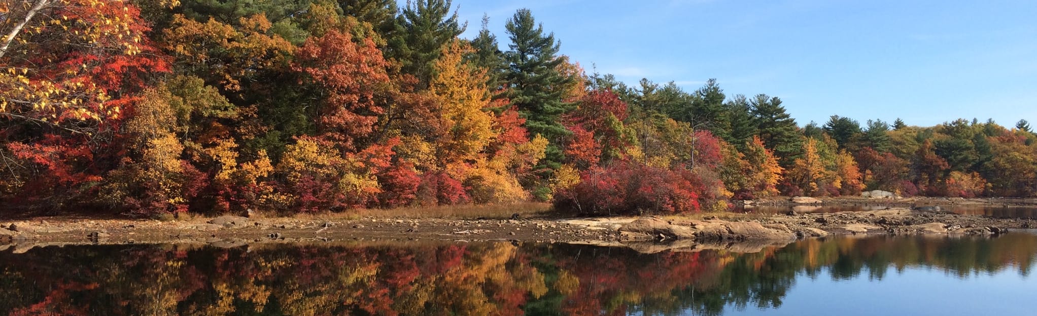 Pearce Lake and Upper Pond Trail: 708 Reviews, Map - Massachusetts ...