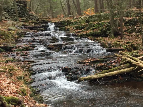 10 Best Hikes and Trails in Stokes State Forest | AllTrails