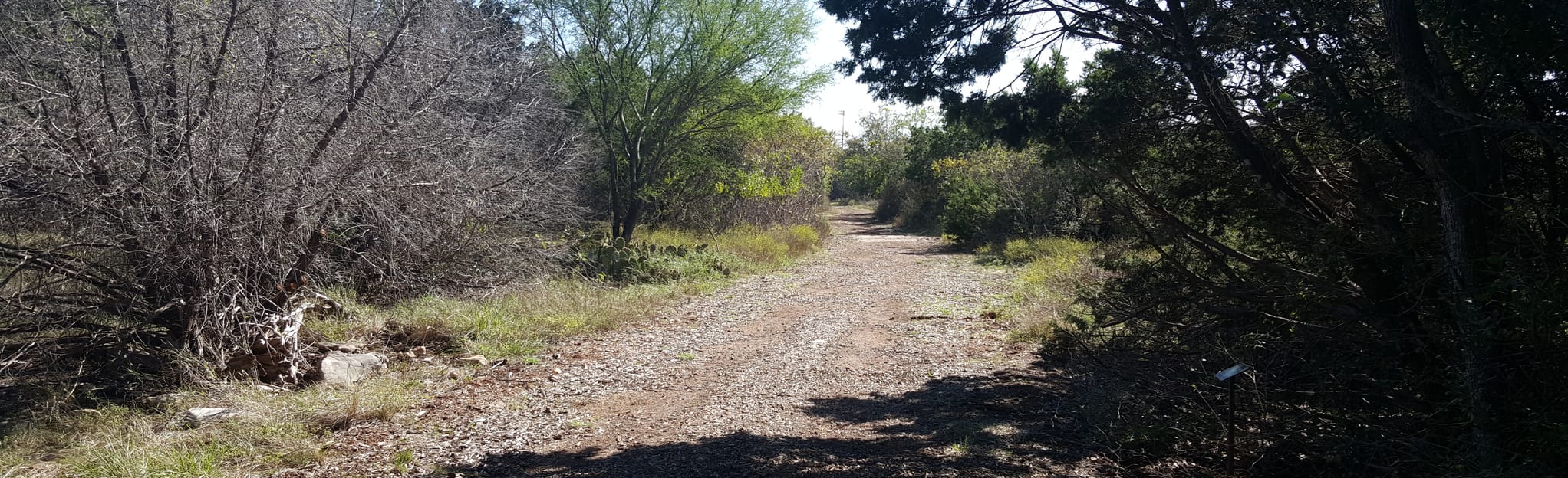Williamson Park Nature Trail | Map, Guide - Texas | AllTrails