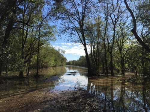 2023 Best trails in George Bush Park | AllTrails