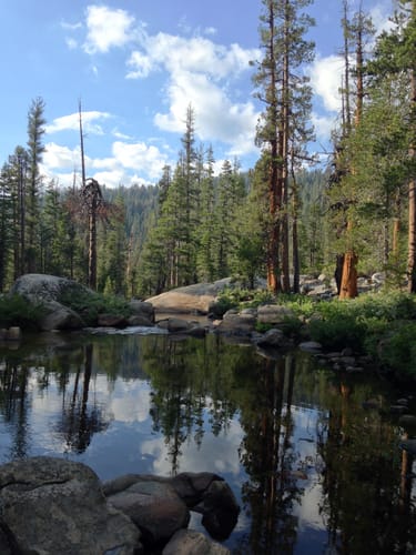 Best 10 Hikes and Trails in Sierra National Forest | AllTrails
