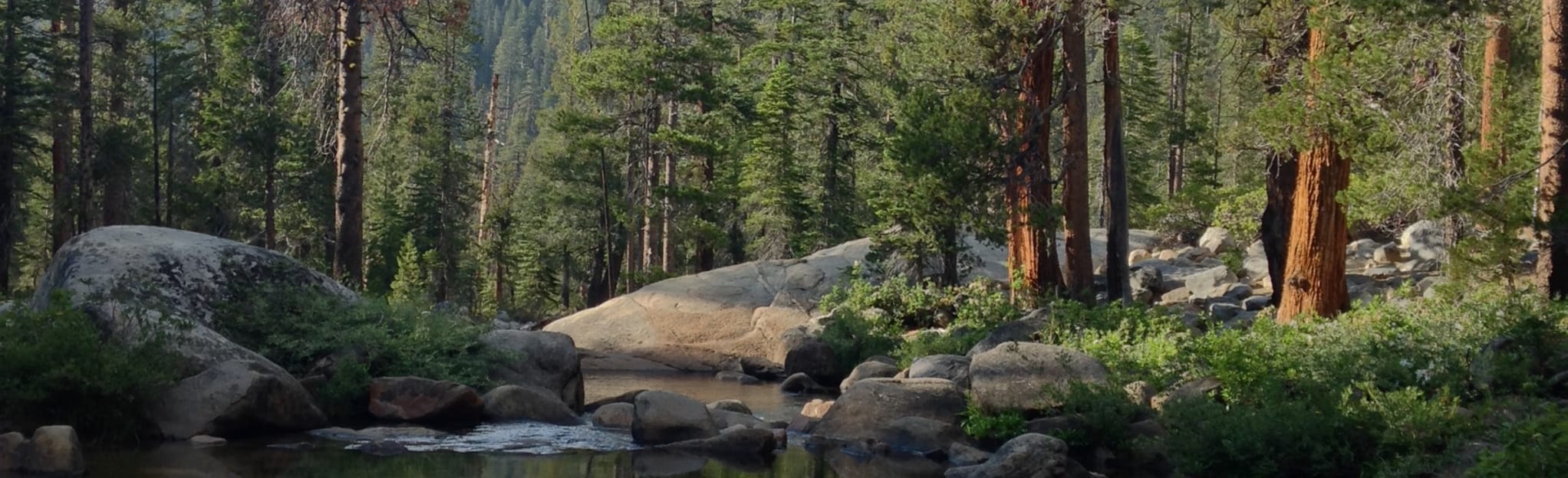 Indian Pools Trail: 533 Reviews, Map - California | AllTrails