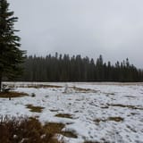 Naches and Greenwater OHV Trail, Washington - 28 Reviews, Map | AllTrails