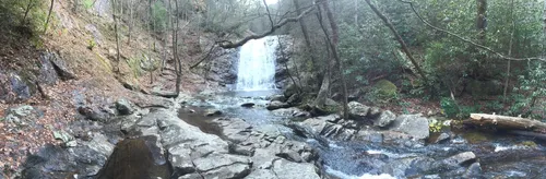 10 Best Hikes and Trails in Cohutta Wildlife Management Area | AllTrails