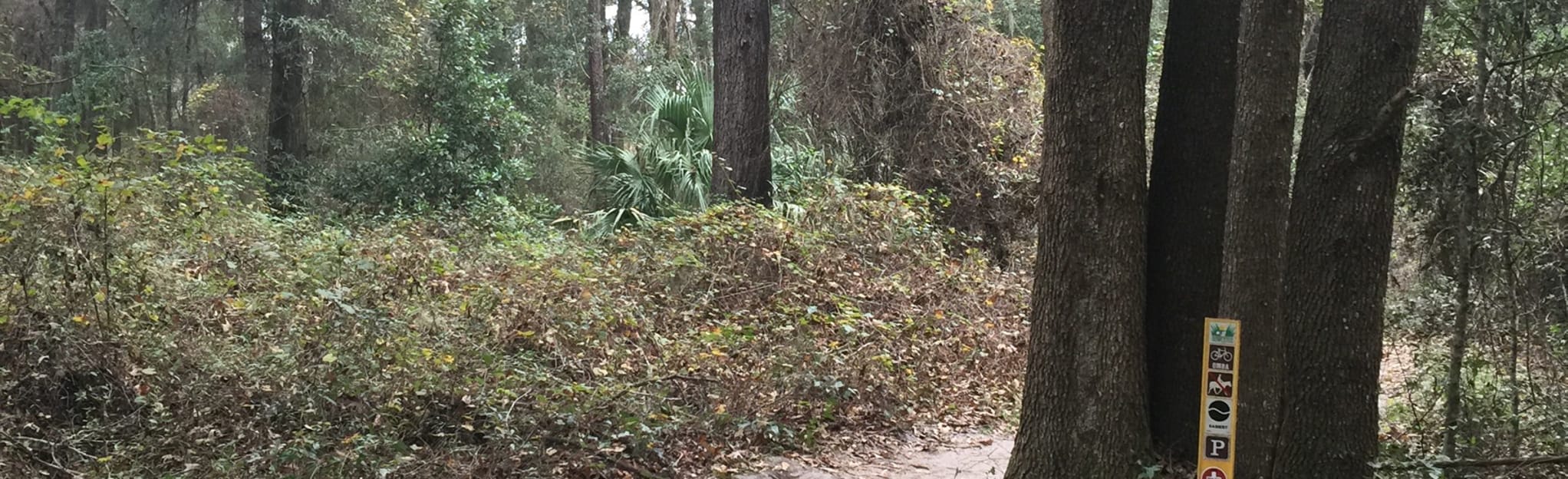 Santos and Vortex Area Bike Trails Loop, Florida - 704 Reviews, Map ...